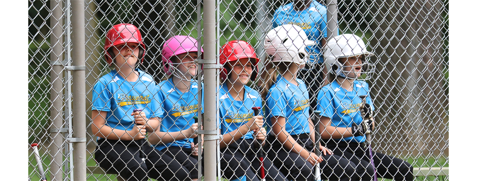 Home [www.beaumontsoftball.org]